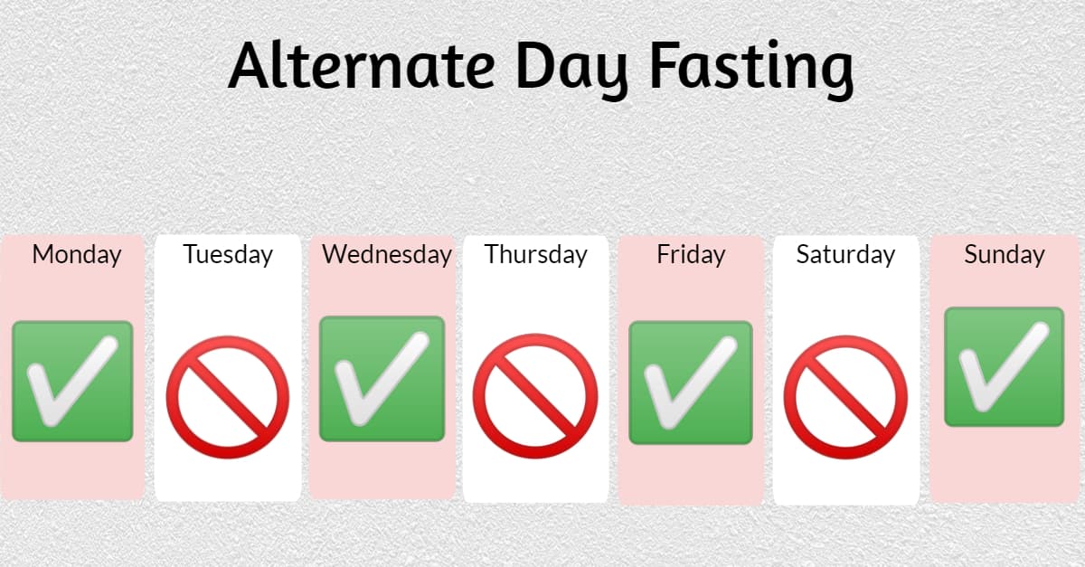 Does Intermittent Fasting Work For Weight Loss? - SCALAR LIGHT