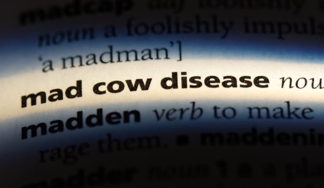 Mad Cow Disease - Causes And Symptoms - SCALAR LIGHT