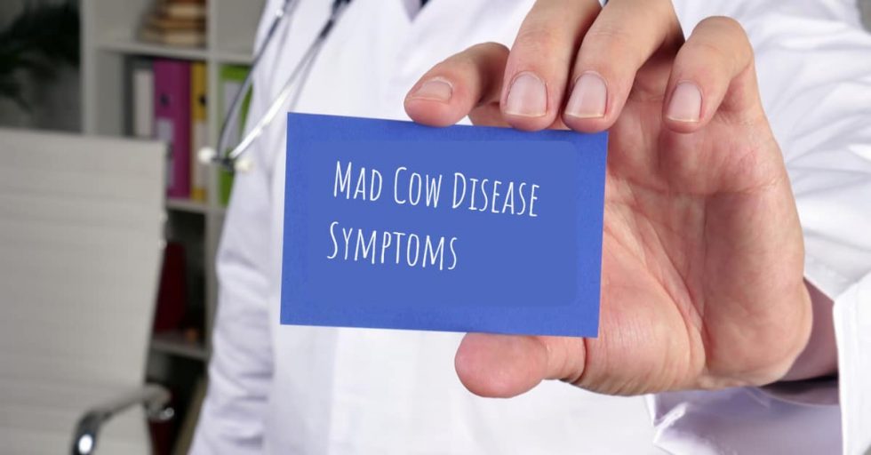 Mad Cow Disease - Causes And Symptoms - SCALAR LIGHT